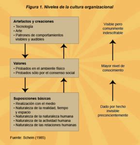Cómo el tipo de cultura organizacional puede afectar el rendimiento de