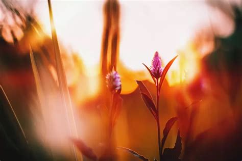 Bio IG Keren Simple Bahasa Inggris Inilah 40 Contoh Bio IG Aesthetic