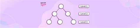 Top View Of Binary Tree Scaler Topics
