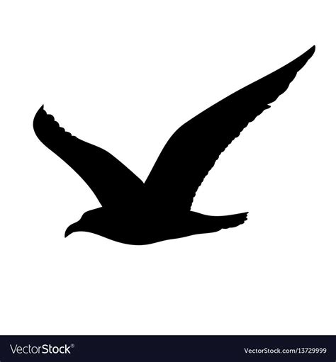 Flying Seagull Silhouette Concept In Monochrome Style On White