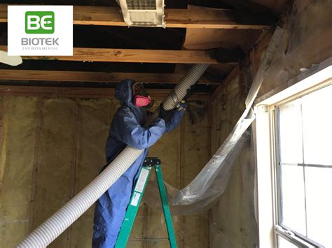 Is DIY Mold Removal A Good Idea Biotek Environmental Inc