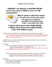 Skye Hardin The Naked Egg Osmosis Pdf Naked Egg Osmosis Question