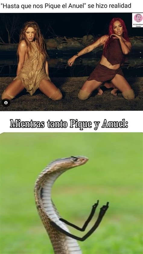 Meme De Shakira Y Karol G Meme Subido Por Aristerv Memedroid