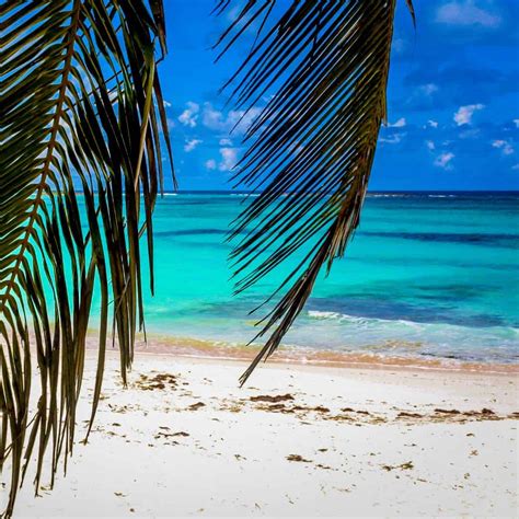 10 Best Islands To Travel To In The Bahamas Narcisa Rusu