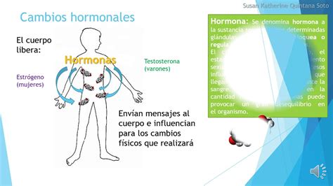 La Pubertad y sus Cambios Guía Práctica para Niños de Primaria juntos