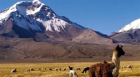 25 Ejemplos De Mesetas