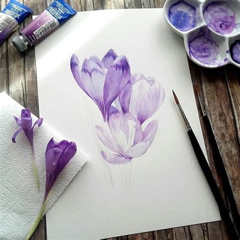 Pin By Yvette Zonneveld On Krokus Watercolor Flower Sketches Flower