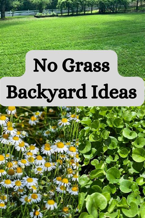 Cheap No Grass Backyard Ideas Or Front Yard No Grass Backyard Low