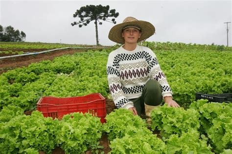 Saiba o que é agricultura familiar