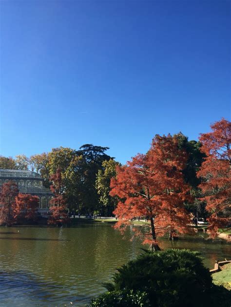A Lake Surrounded By Trees With Red Leaves