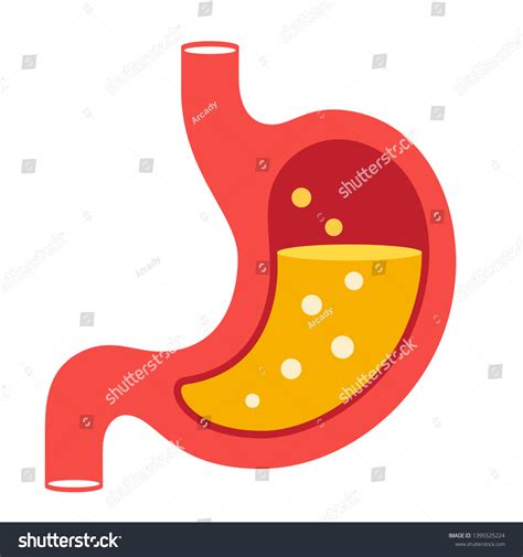 Esophagus Cartoon Images Stock Photos Vectors Shutterstock