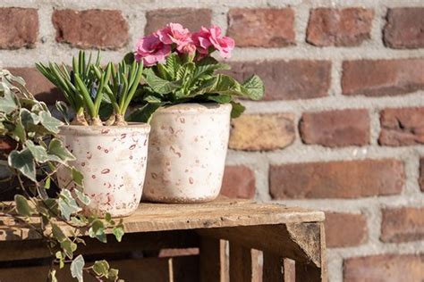 Clayre Eef Bloempot Ø 11x10 cm Roze Beige Keramiek Rond Bloemen