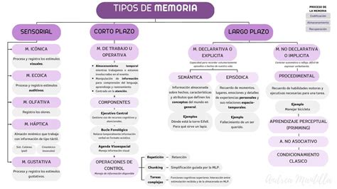 Tipos De Memoria Psicostudium UDocz