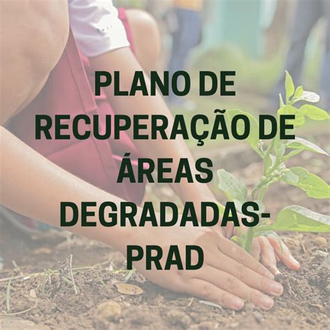 Plano de Recuperação de Áreas Degradadas PRAD Razão Consultoria