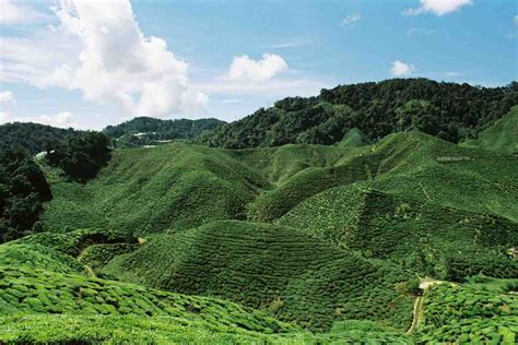 Rekomendasi Tempat Wisata Alam Di Malaysia Points Geek