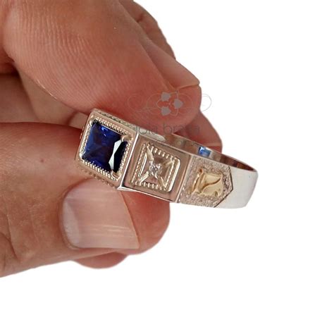 Anel Formatura Masculino em Prata 950 Símbolos Ouro 18k
