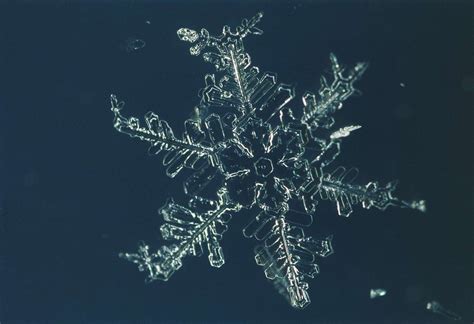 13 Perfect Snowflakes Captured In Photos
