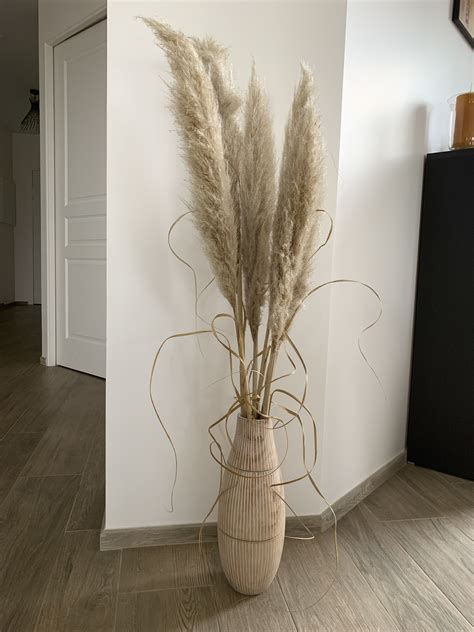 Descubra 48 kuva herbe de pampa déco ou en trouver Thptnganamst edu vn