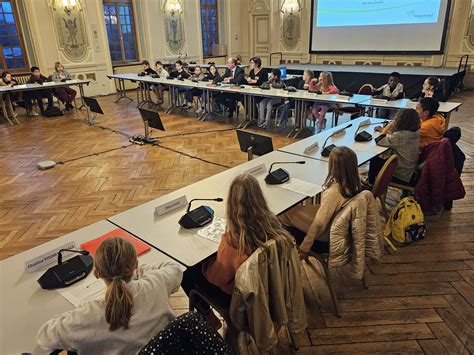 Haguenau Le nouveau conseil municipal des enfants officiellement installé