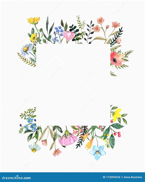 B S U T P White Background Border P V Ch T L Ng Cao