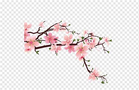 Ilustração de flor de pétala de rosa desenho de flor de cerejeira
