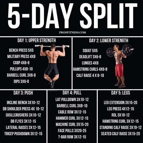 Push Pull Legs Vs 5 Day Split