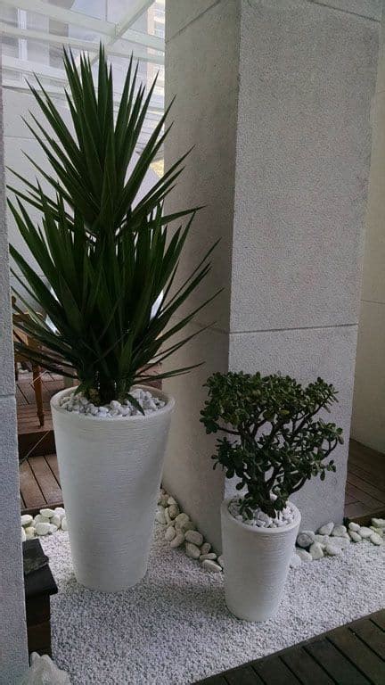 Vasos De Plantas Modelos Incr Veis E Como Escolher
