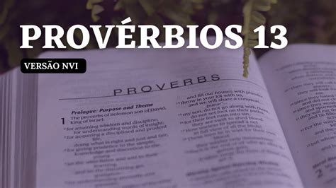 PROVÉRBIOS 13 A BIBLIA FALADA YouTube