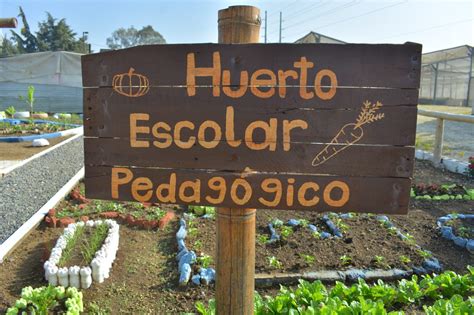 Huertos Escolares se implementarán en todo el país