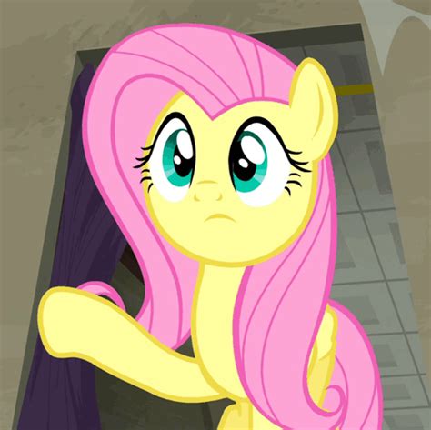 901242 Animated Derpibooru Import Fluttershy Safe Screencap Solo The Saddle Row Review