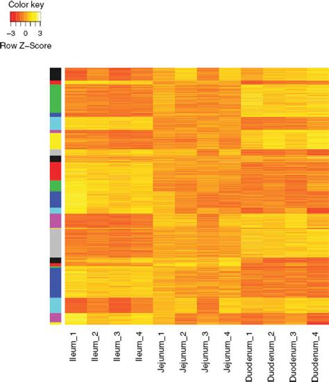 a model selection criterion for model based clustering of annotated gene expression data