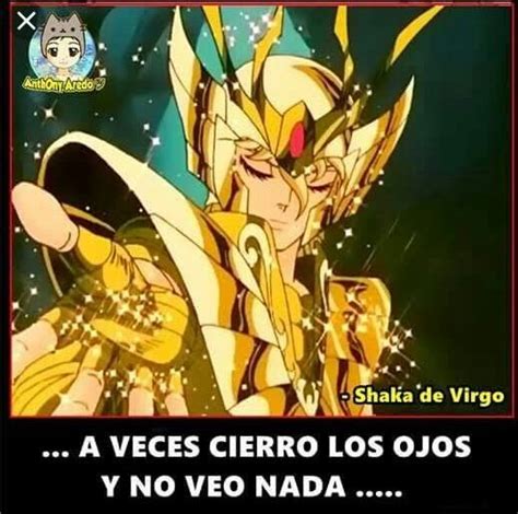 MEMES E IMAGÉNES DE LOS CABALLEROS DEL ZODIACO SAINT SEIYA