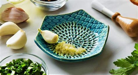 How To Use A Garlic Grater Plate Dibyapath