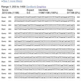 Sequencing Of P Gene The Full Length Sequence Of The Target Gene Was