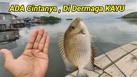 MANCING BARONANG BABON DI DERMAGA KAYU POKOK NYA SYAHDU YouTube