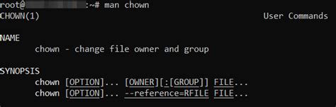 how to use chown command in linux examples