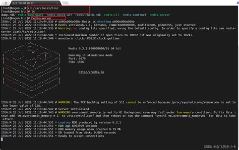 centos7下安装redis linux 下安装redis redisinsight v2 centos csdn博客
