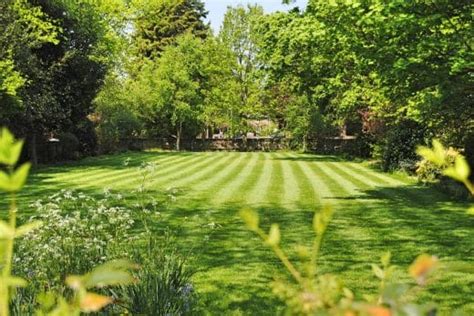 Jardin Tous Nos Conseils Guides Et Astuces Du Jardinage
