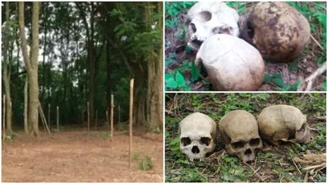 Nigeria tenía un escalofriante Bosque del Horror donde innumerables