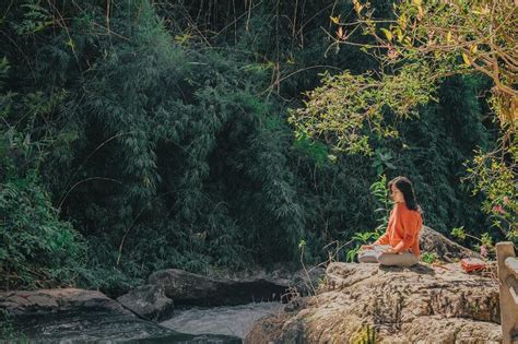 Comment choisir le meilleur voyage de développement personnel Cellaos