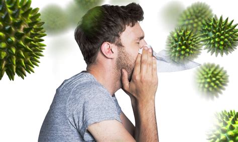Handling Allergic Reactions To Mold Exposure First Aid Measures FITPAA