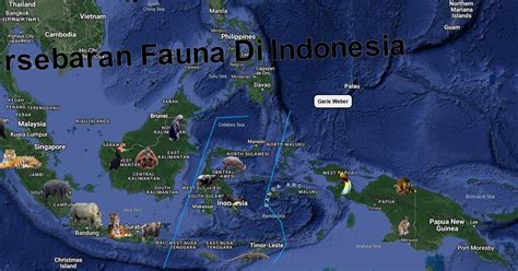 Persebaran Fauna Di Indonesia Scribble Maps