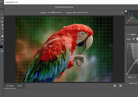Photoshop Portable Vs Adobe Photoshop All You Need To Know