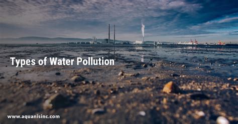 Types Of Water Pollution