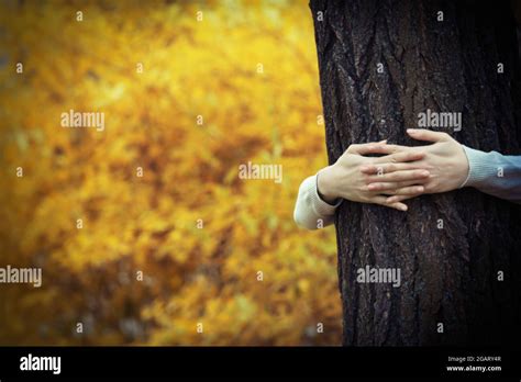 Human Hands Hugging Tree In The Park Stock Photo Alamy