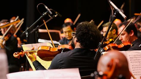 Sesi Cultura Bachiana Filarm Nica Sesi Sp