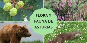 Flora y fauna de Tamaulipas Características y ejemplos de especies