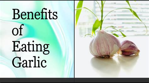 Benefits Of Eating Garlic YouTube