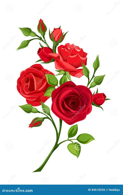 Ramificación De Rosas Rojas Ilustración Del Vector Ilustración del