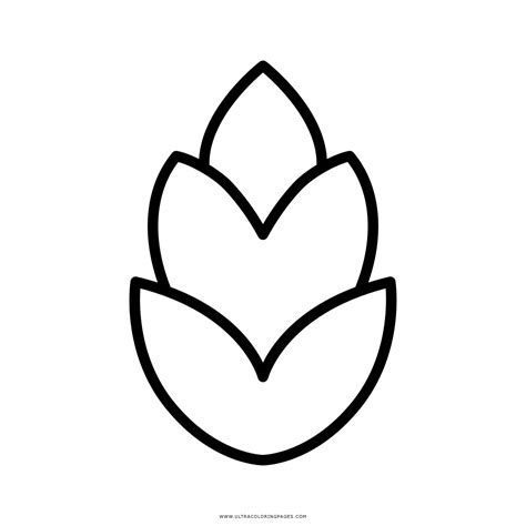 Pine Cone Coloring Page Ultra Coloring Pages